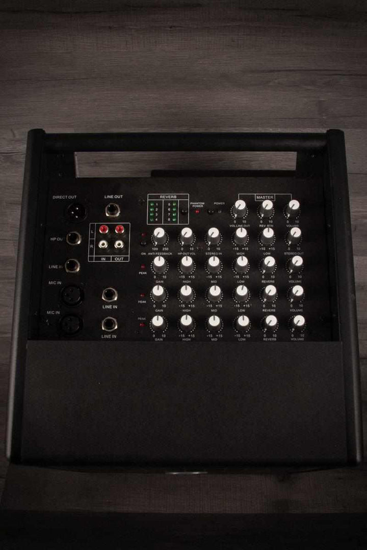 Prodipe Natural 6 Acoustic Guitar Amp | Musicstreet guitar shop